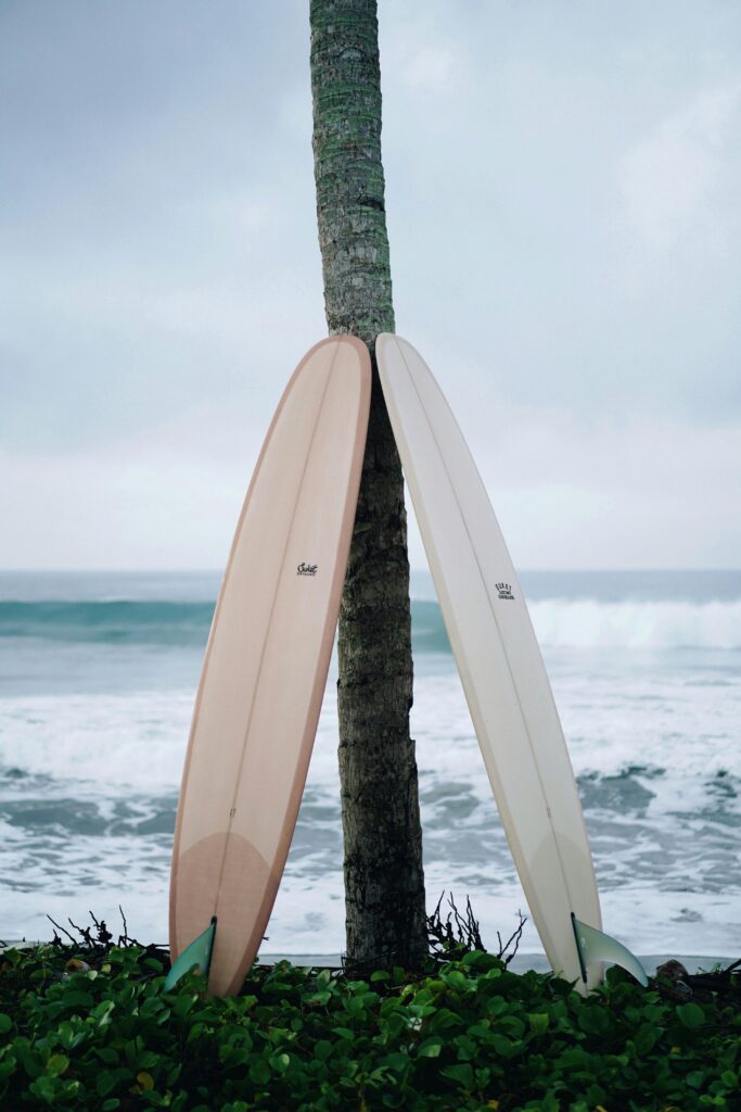Surfboard Shapes Guide: Complete Breakdown for Every Skill Level